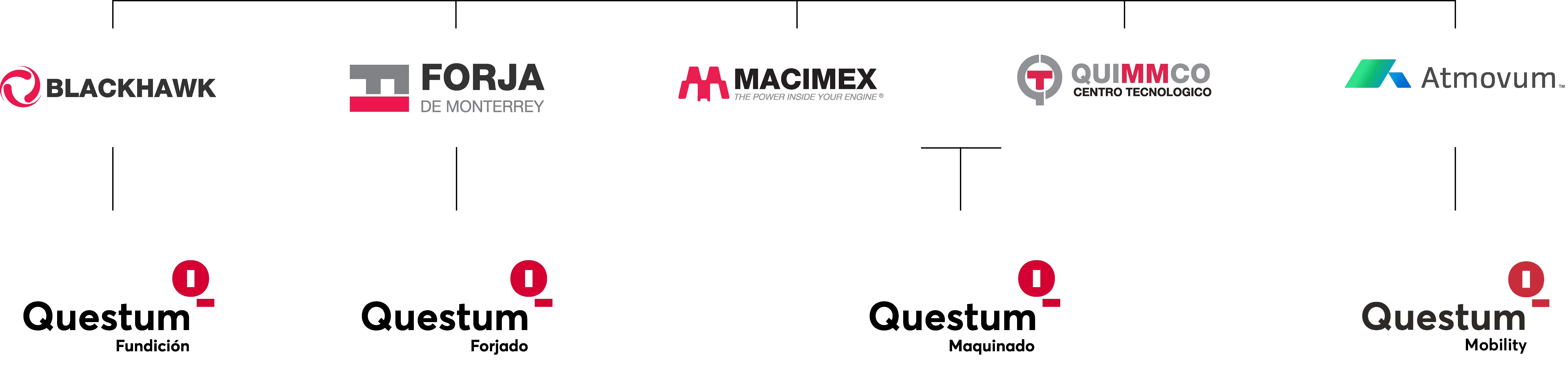 We identify potential, We detonate opportunities | Questum